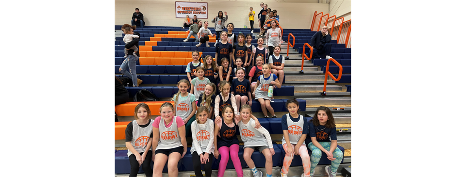 Home [www.hybahoops.com]